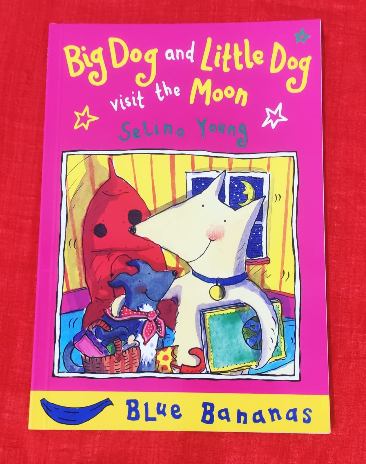 Big Dog and Little Dog Visit the Moon | Story Book with Big Pictures a