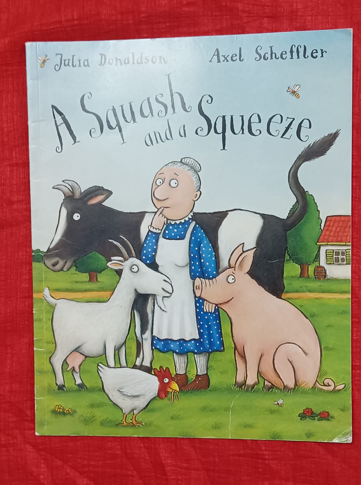 A Squash and a Squeeze | Story Book with Big Pictures and Little Text