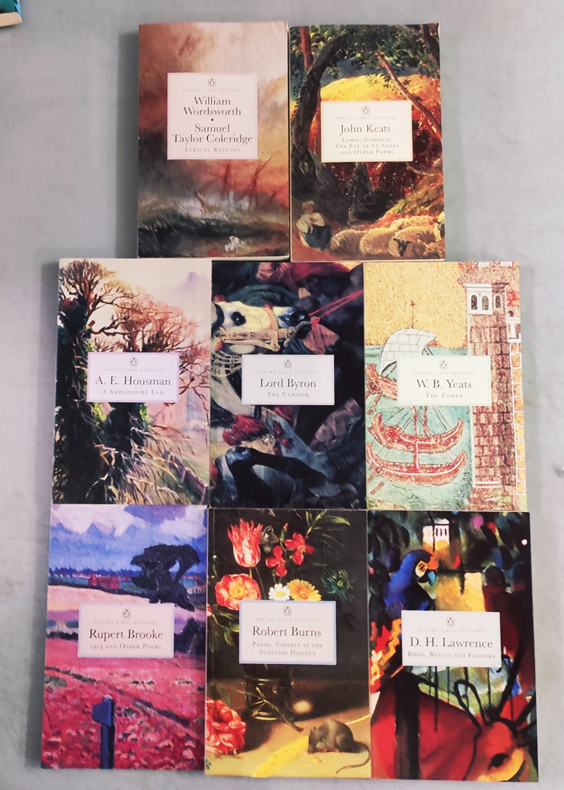 Penguin Poetry Books Collection | Set of 8 Books