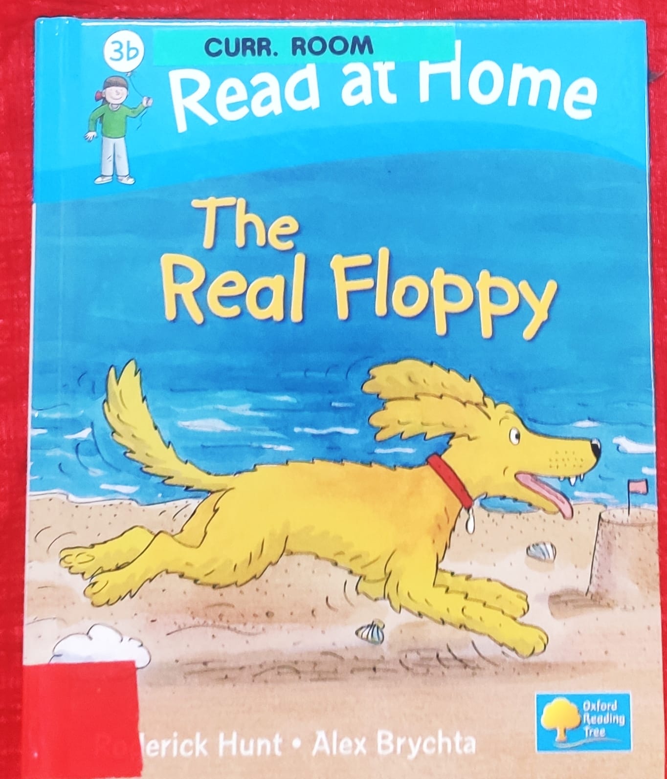 Read at Home: The Real Floppy, Level 3b | Story Book with Big Pictures