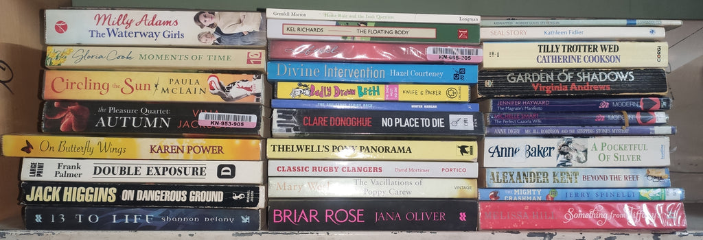 Mixed Lot of General Fiction Books for Adults | Lot of 30 Books