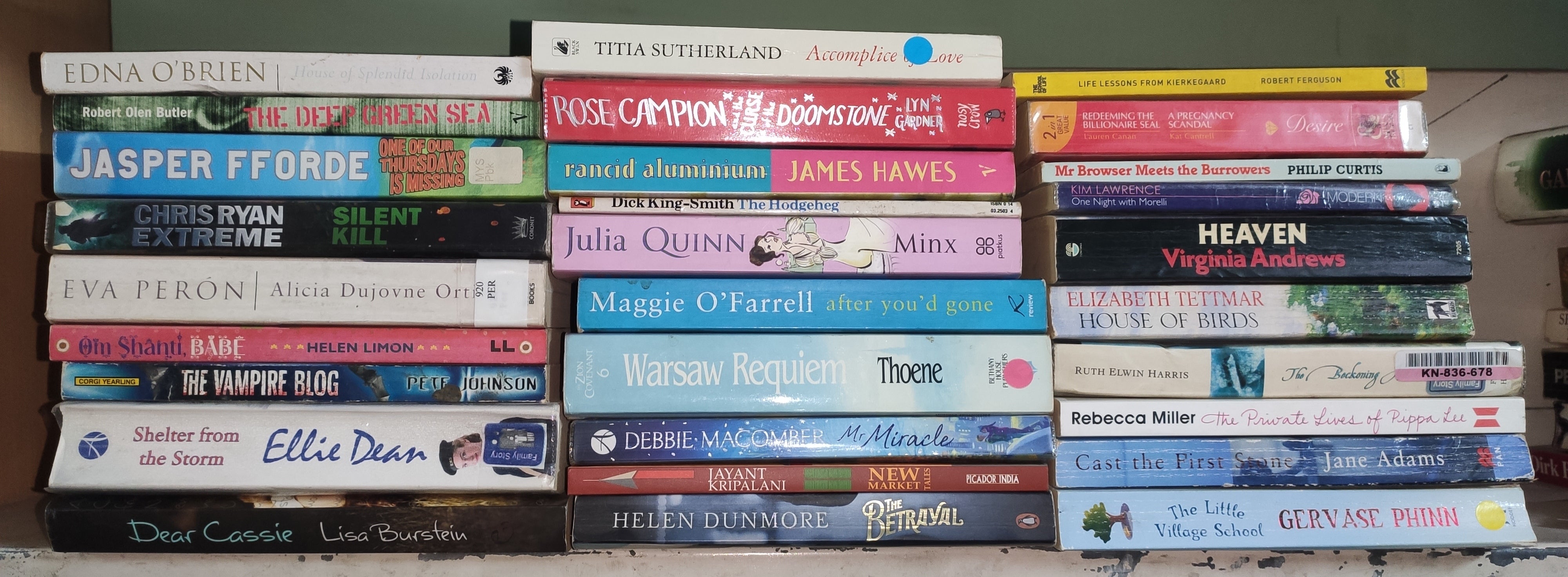 Mixed Lot of General Fiction Books for Adults | Lot of 30 Books
